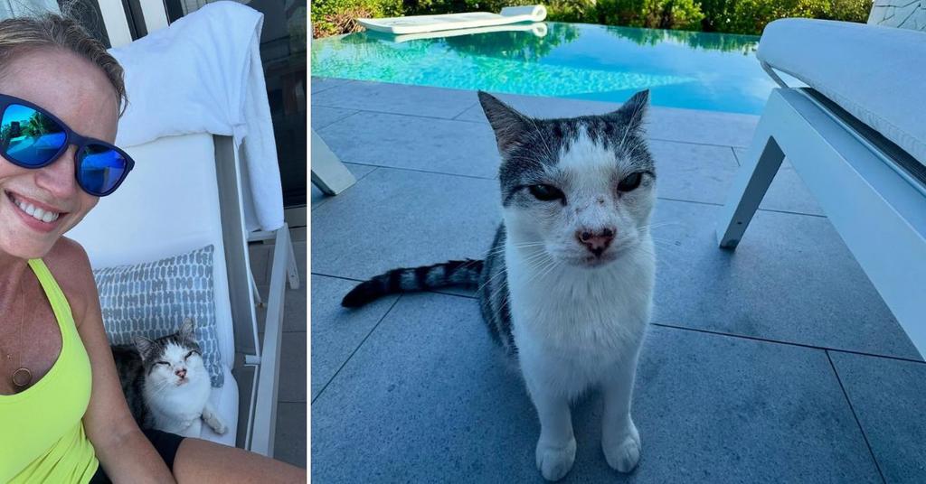 Amy Robach Poses With Cute Cat During Poolside Moment In Turks & Caicos