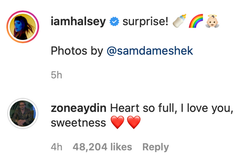 Who Is Halsey's Baby Daddy? Alev Aydin Is A Producer