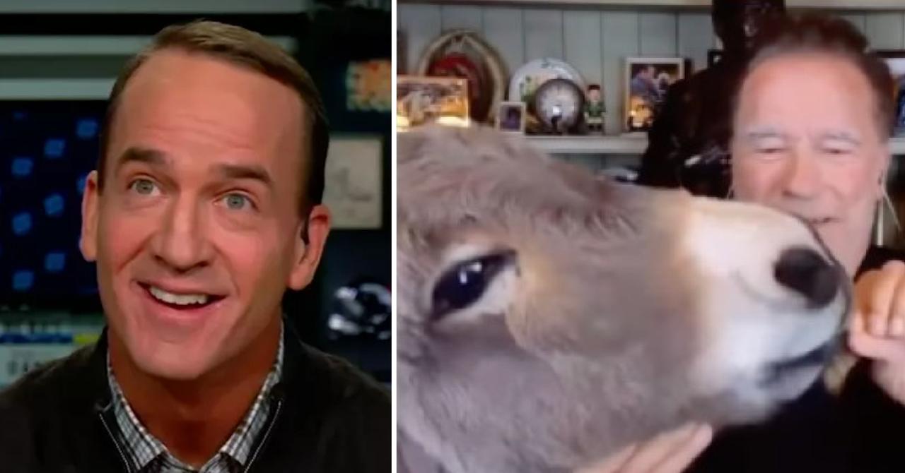 Arnold Schwarzenegger Shocks Peyton Manning With Pet Donkey