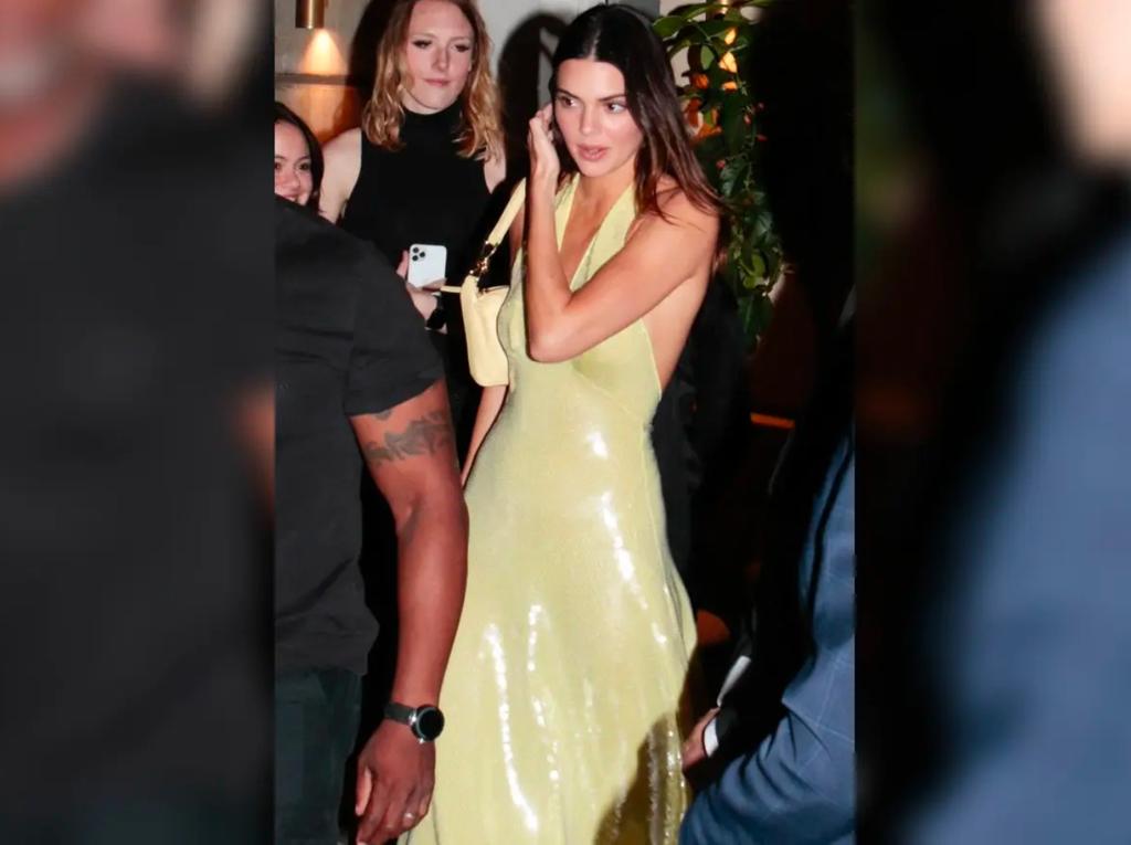 Kendall Jenner Looks Like A Cardboard Cutout In Kevin Hart Photo 8113