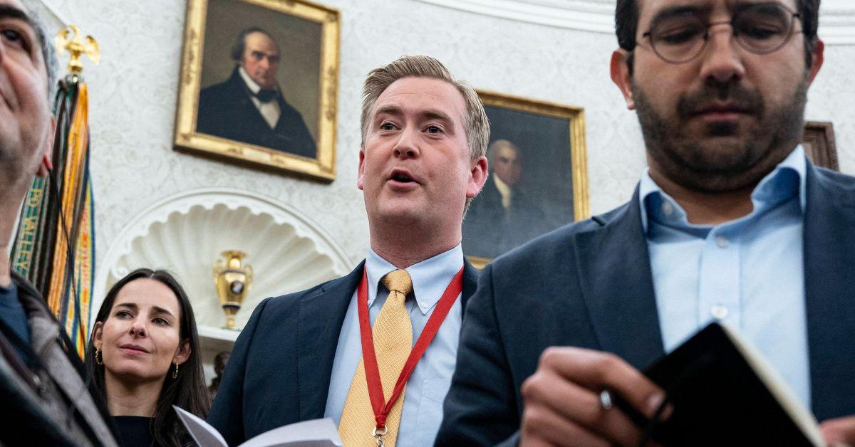 Peter Doocy's Hair Gets Confused For A Nest By A Bird During Live Video