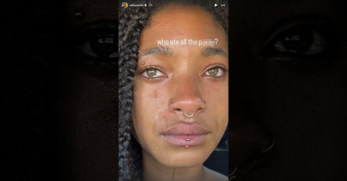 Willow Smith Alarms Fans After Posting Shocking Crying Selfie