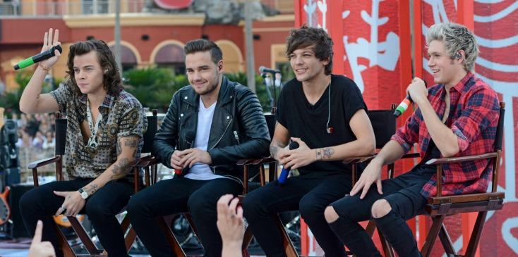 Niall Horan Drops MAJOR Bombshell About One Direction Reunion!