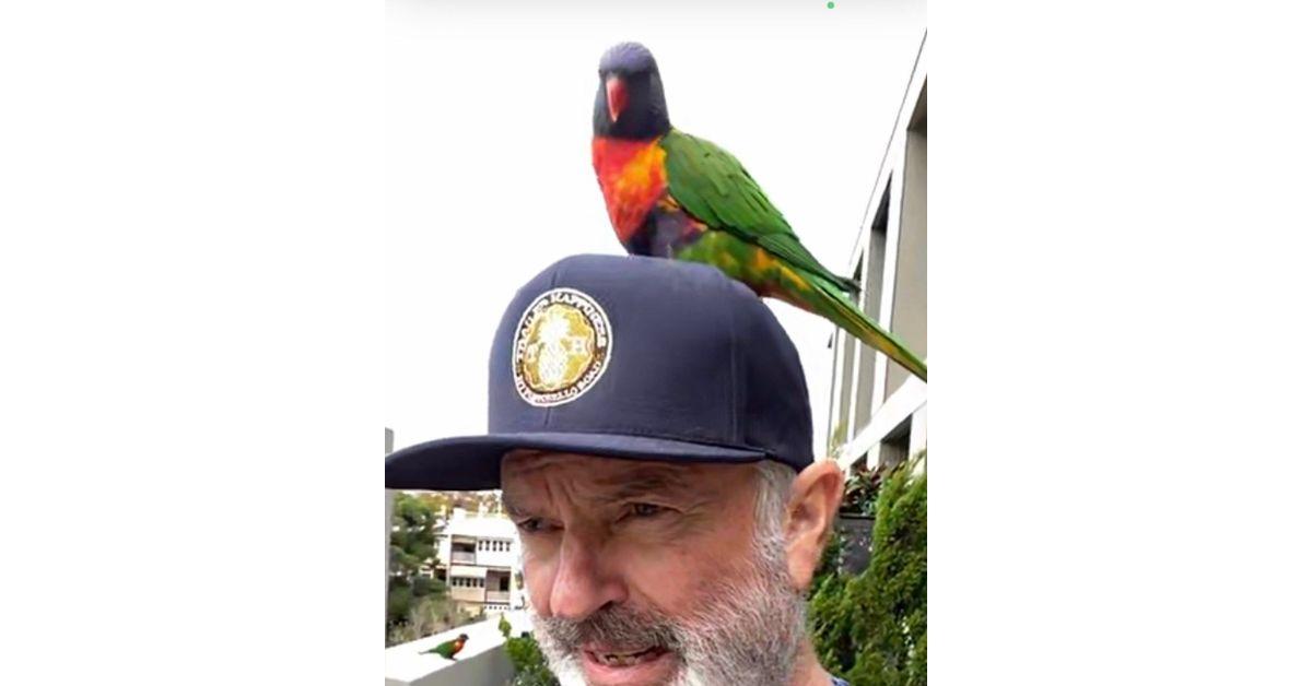 Sam Neill's Cutest Photos With His Grandkids & Farm Animals