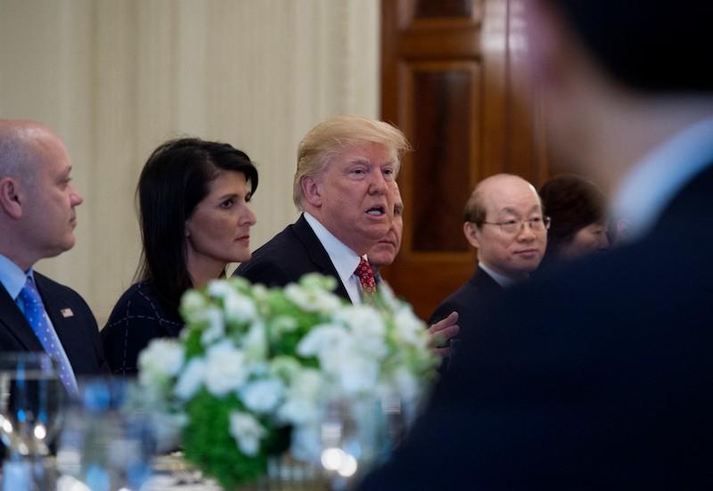 Nikki Haley Reveals Whether She'd Pick Donald Trump As Her VP