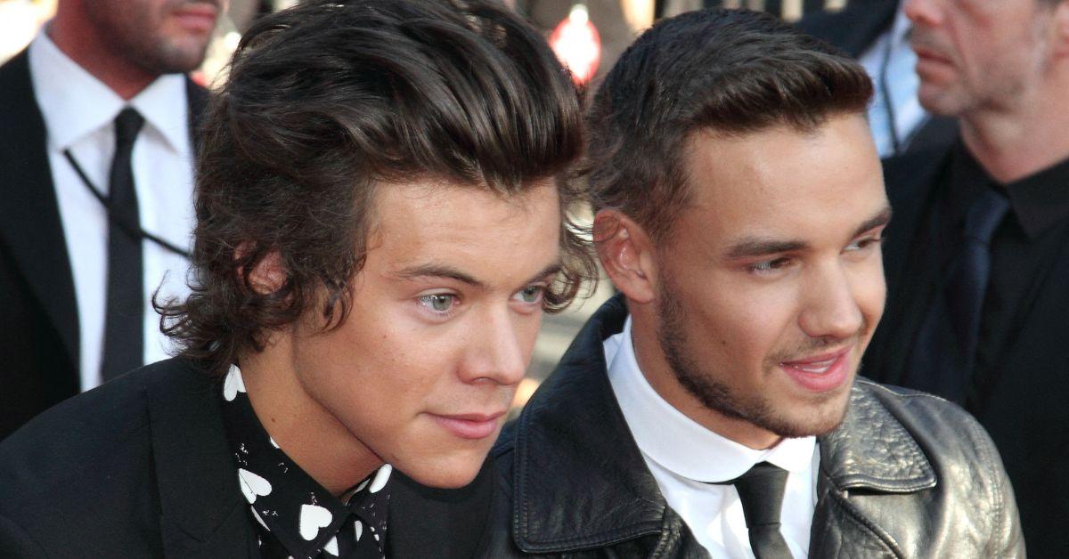 Harry Styles & Liam Payne's Friendship Explained: Photos