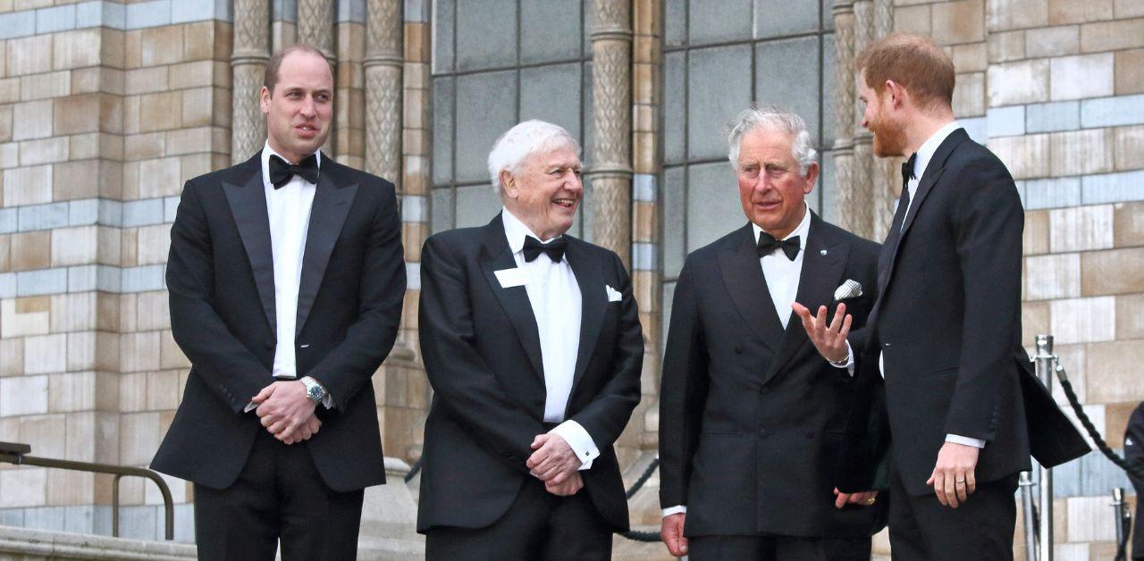 Prince Harry's Marriage Comment 'Wounded' His Relationship With William