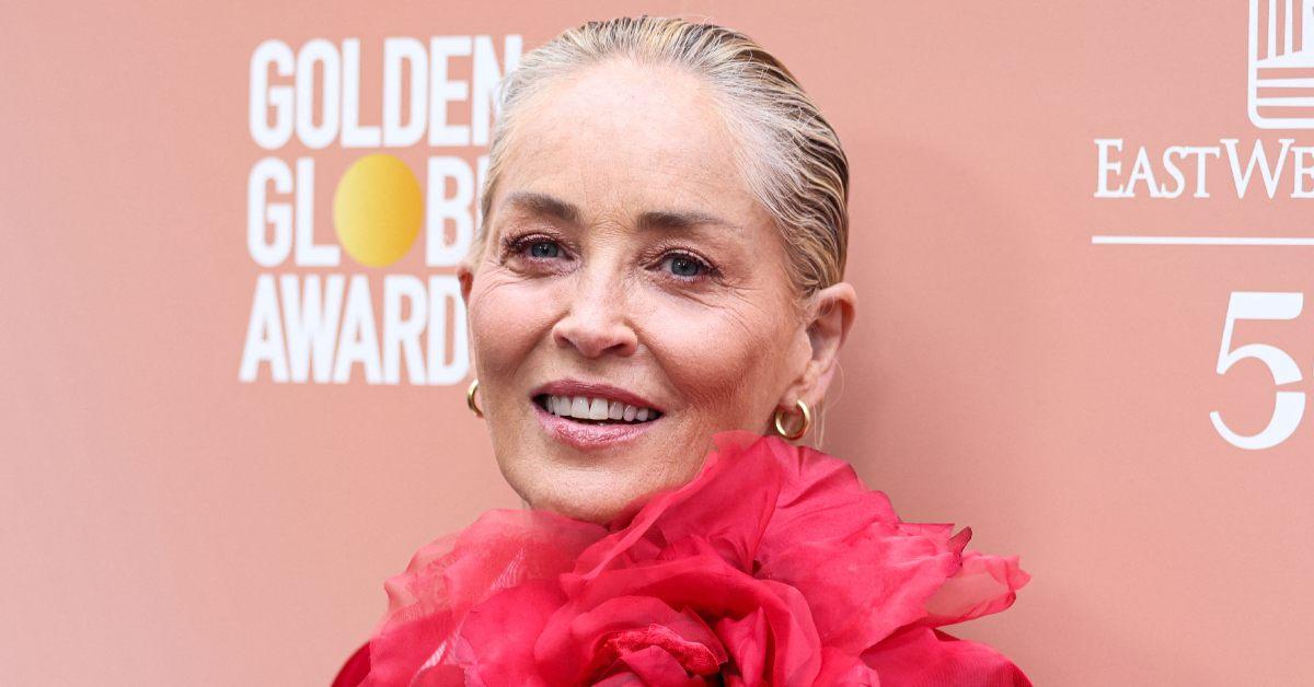 Sharon Stone Felt 'Rage' After Plastic Surgeon Gave Her Big Implants
