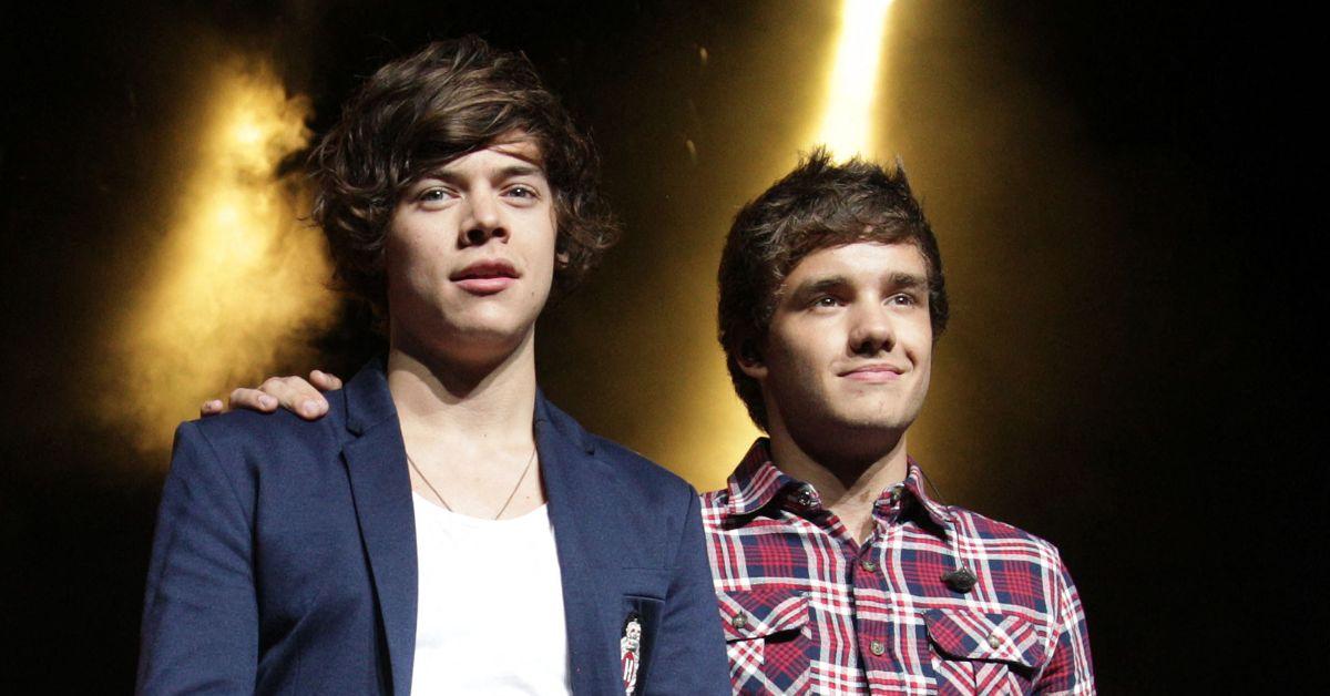 Harry Styles & Liam Payne's Friendship Explained: Photos