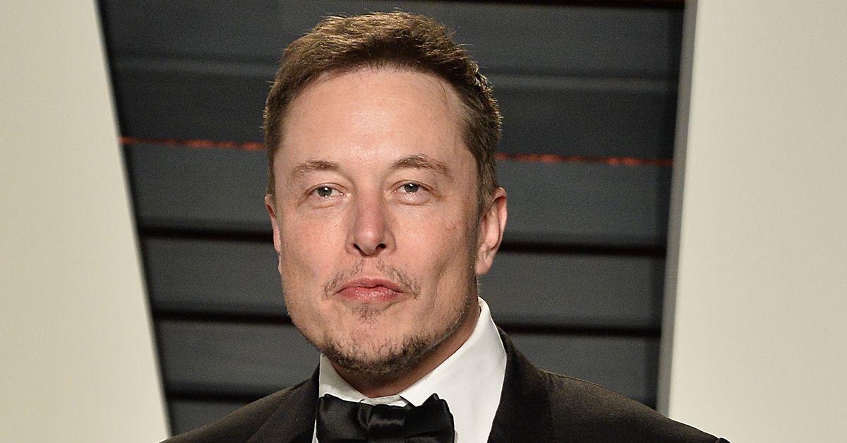 Elon Musk Seemingly Confirms He Welcomed Twins With Cryptic Message Elon Musk Seemingly Confirms He Welcomed Twins With Cryptic Message