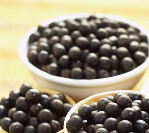 Here's Everything You Need To Know About Acai Berries!