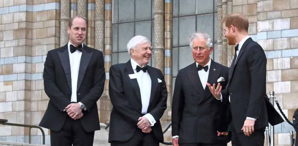 Prince Harry 'Did Not Intend To Snub King Charles' In His Speech