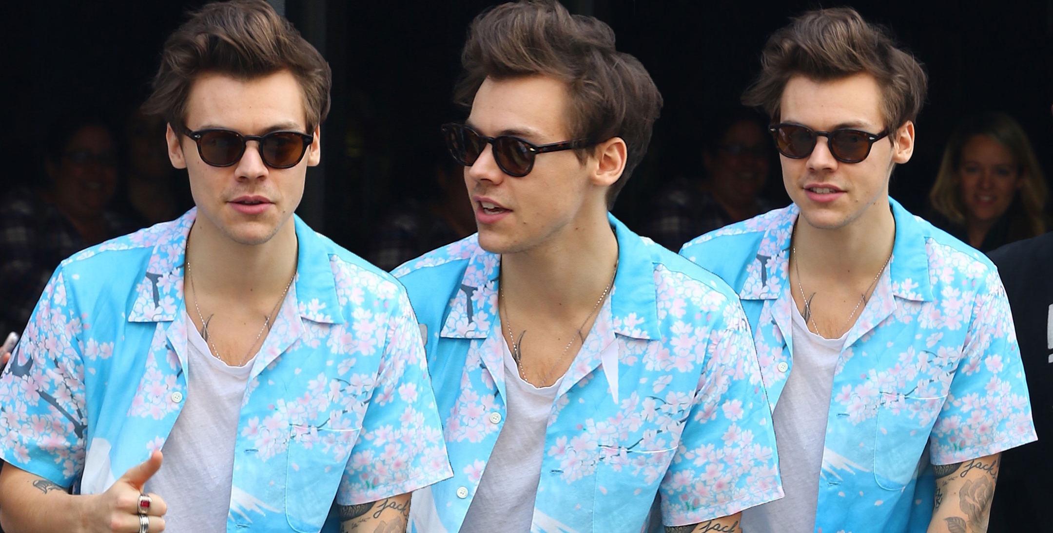 [PHOTOS] Harry Styles Accidentally Crushes Fan In A Shocking Crowd Surf ...