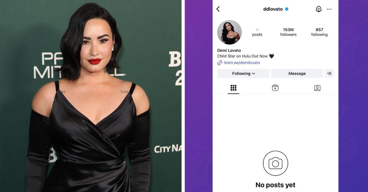 Demi Lovato Dissed By Fans For Wiping Her Instagram Clean