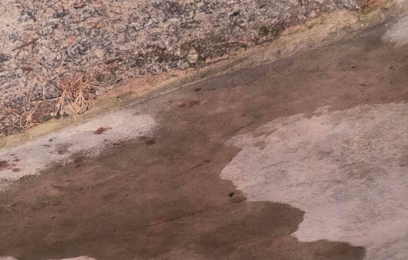 Alex Murdaugh Trial: Gruesome Crime Scene Photos Shown In Court