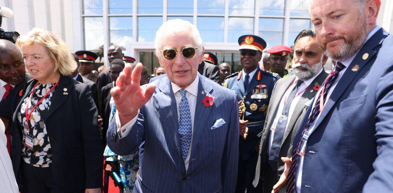 King Charles' New Portrait Criticized By Fans For Being 'Strange'