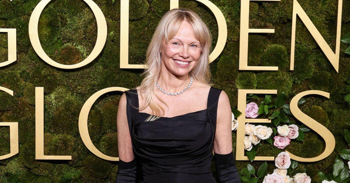 Pamela Anderson's Unforgettable Rise To Fame: Photos