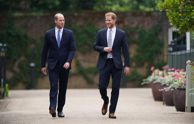Prince Harry Feels Prince William No Longer Resembles Princess Diana Prince Harry Feels Prince William No Longer Resembles Princess Diana