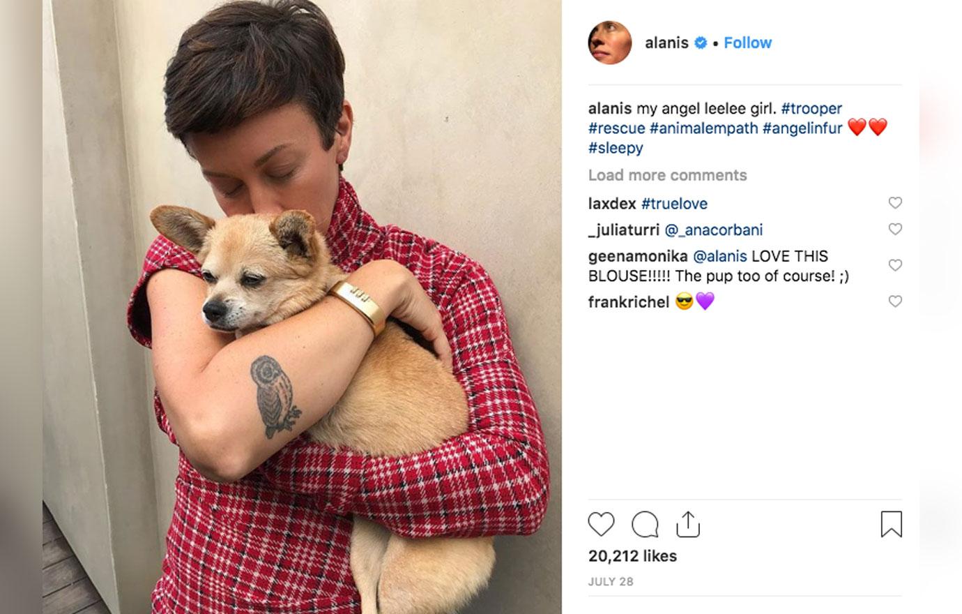 Alanis Morissette Is 'Inconsolable' After Dog Passes Away