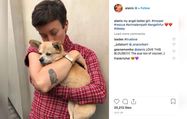 Alanis Morissette Is 'Inconsolable' After Dog Passes Away