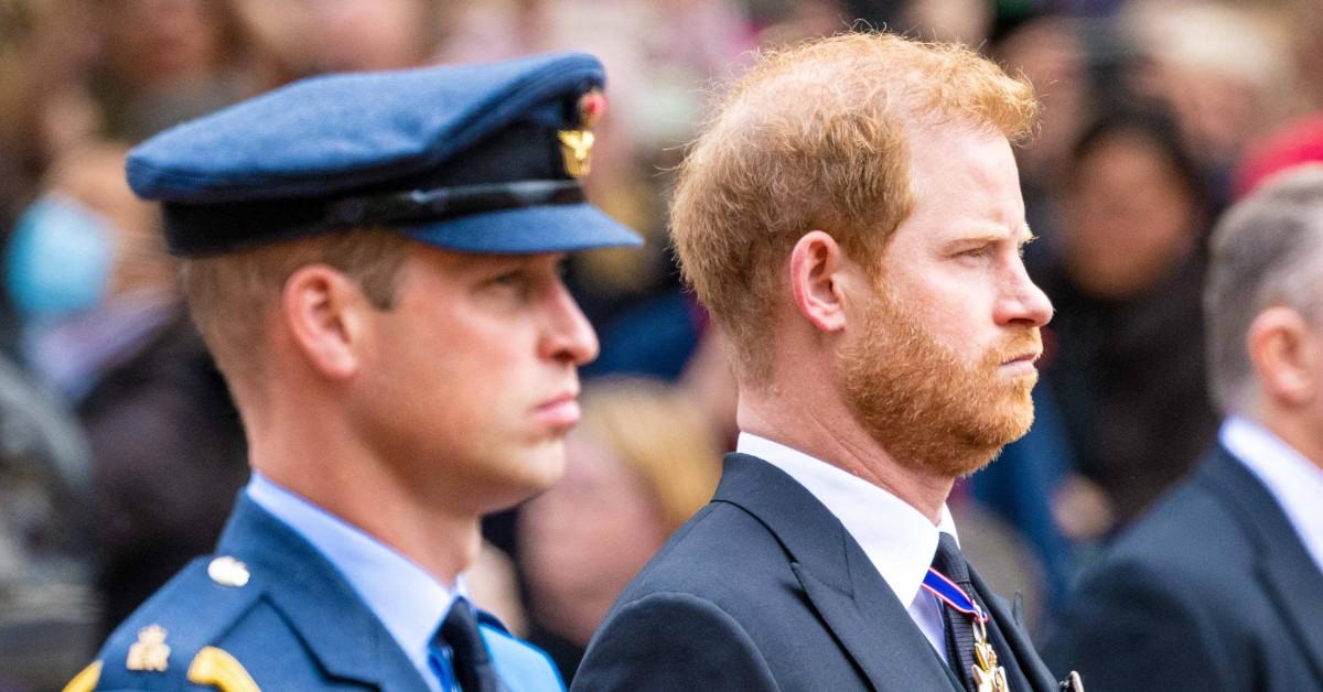 Prince Harry's Memoir Will Touch Upon Falling Out With Prince William