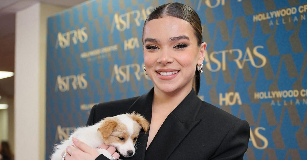 What Is Hailee Steinfeld's Net Worth? How The Star Made Her Millions