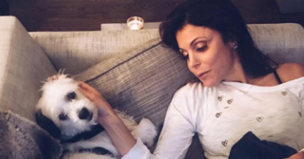 Bethenny Frankel Breaks Down On Instagram As Dog Has Seizure