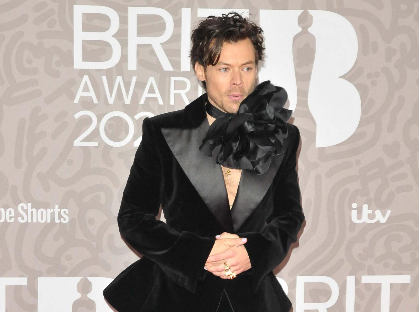 Is Harry Styles A Bad Kisser? Fans React To Emily Ratajkowski Makeout