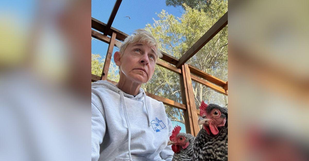 Ellen DeGeneres Called Out For 'I'm Kind' Skincare Ad After Scandal