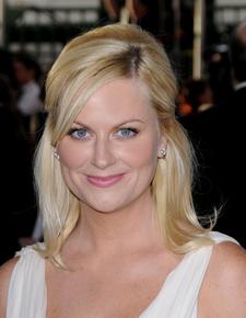 Amy Poehler's New Show Revealed!