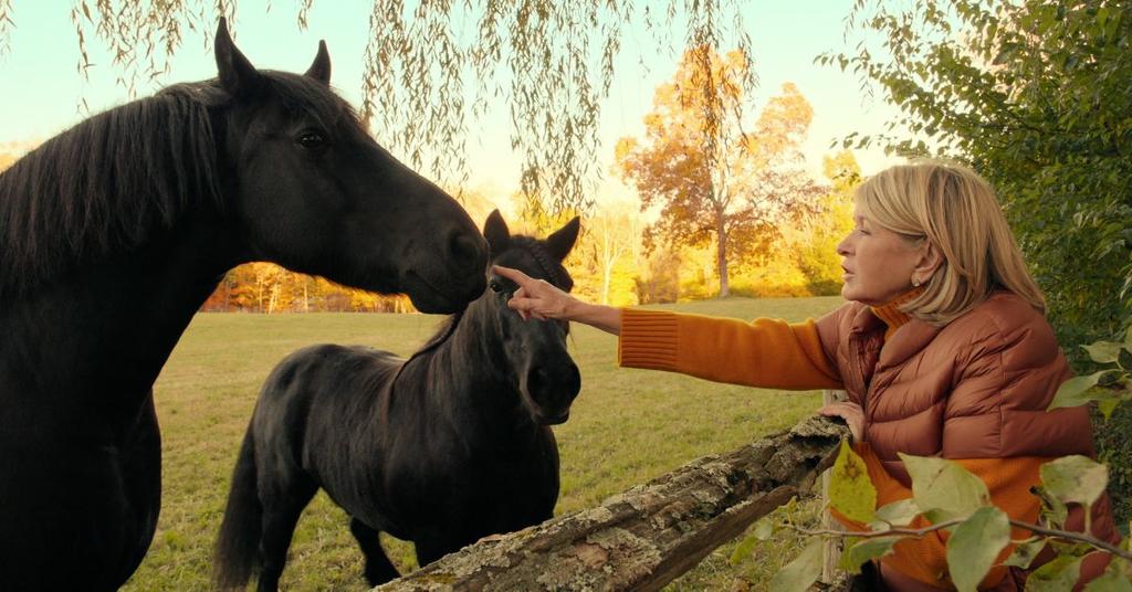 Martha Stewart's Netflix Documentary: Everything To Know