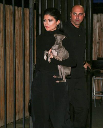 Animal Crazy! The Kardashians' Numerous Pets Are Nowhere To Be Seen ...