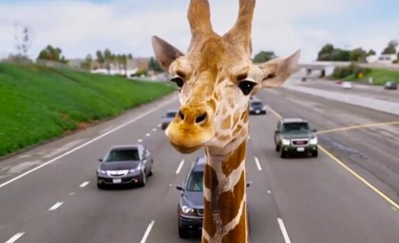 5 Things We Know About 'The Hangover III' Based On the New Trailer