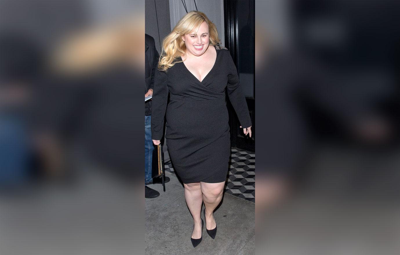 Rebel Wilson's Body Transformation: See Before And After Photos