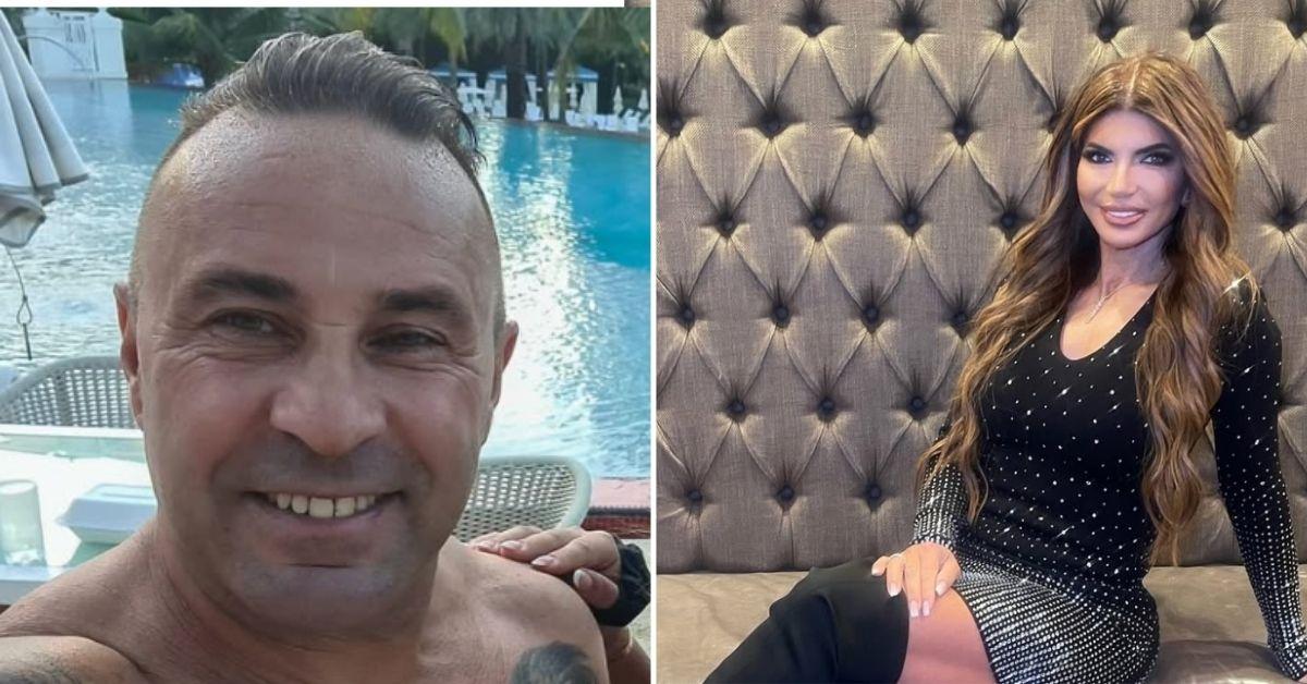 Teresa Giudice Wants Trump To Pardon Joe Giudice After Deportation