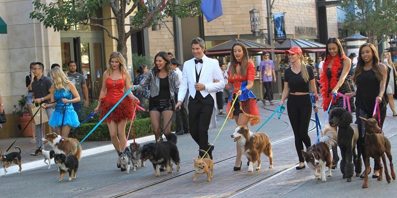 1st Look At Season 22 Of ‘The Bachelor:’ See Arie Luyendyk Jr.’s Ladies