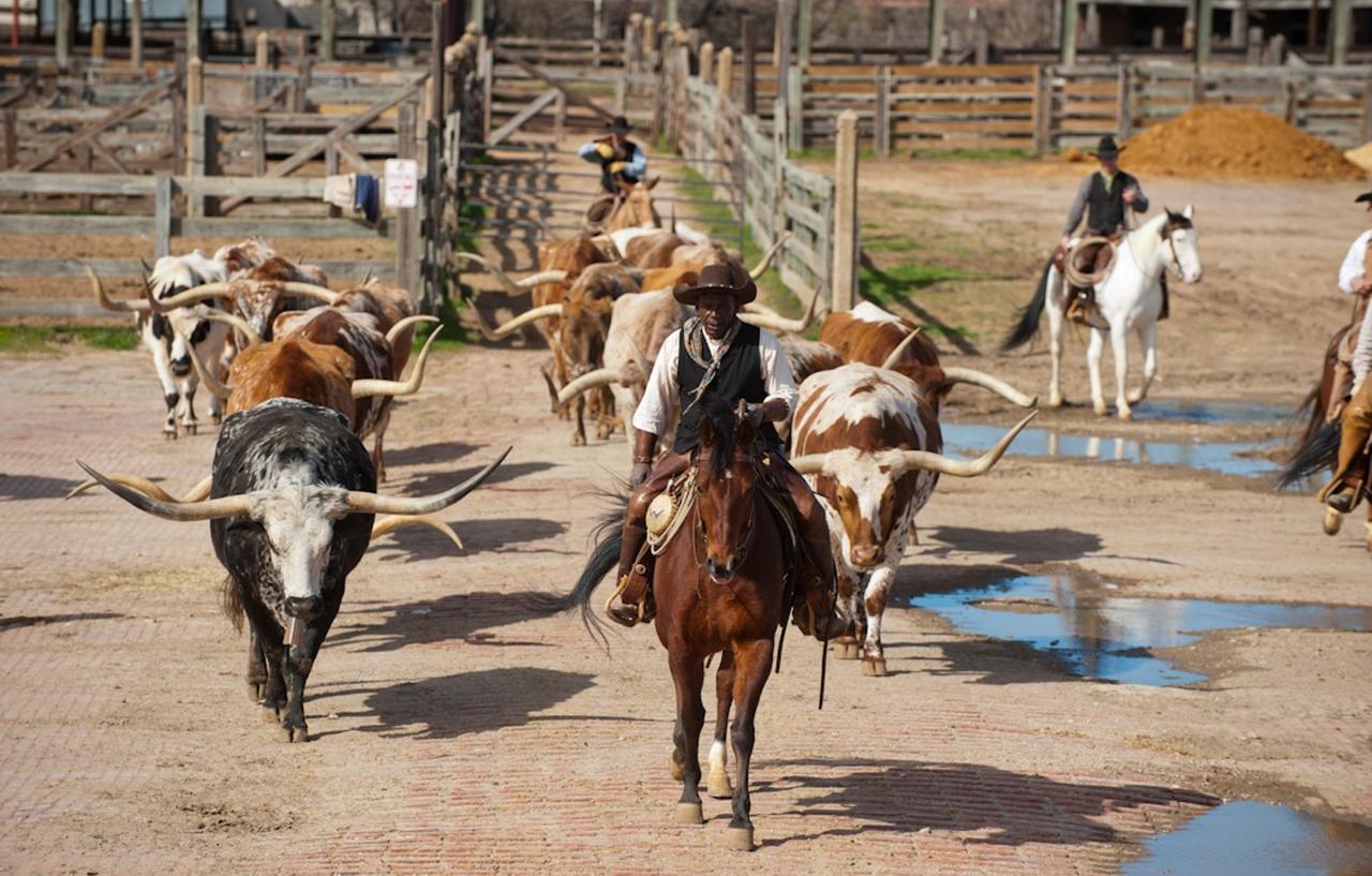 Saddle Up for an Unforgettable Experience: Fort Worth Stockyards ...