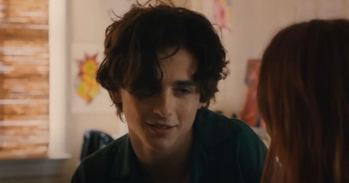 Timothee Chalamet’s Best Roles: 'Wonka,' 'Little Women' & More