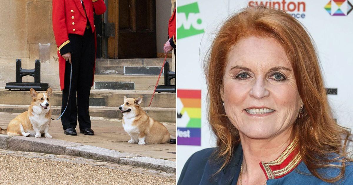 Queen Elizabeth's Dogs Praised By Prince Andrew's Ex, Sarah Ferguson