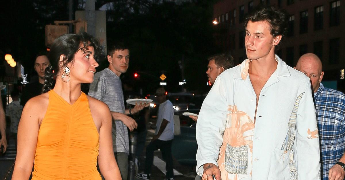 Shawn Mendes 'Likes' Shirtless Photo Of Ex Camila Cabello