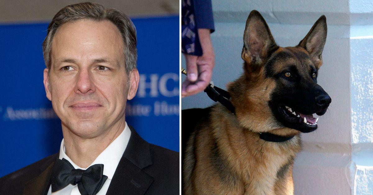 Jake Tapper Says Biden's Dog 'Has to Go' After Biting Secret Service