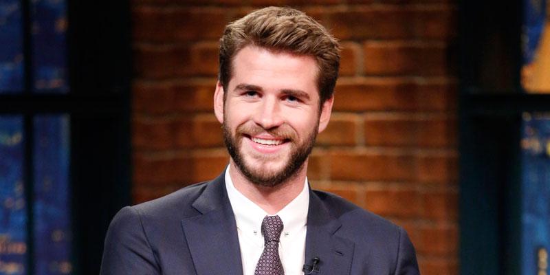 Liam Hemsworth Has His Heart Set On A Modeling Career