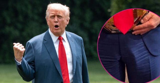 Is Donald Trump Wearing A Catheter? Or Did His Bulge Show At UFC Fight