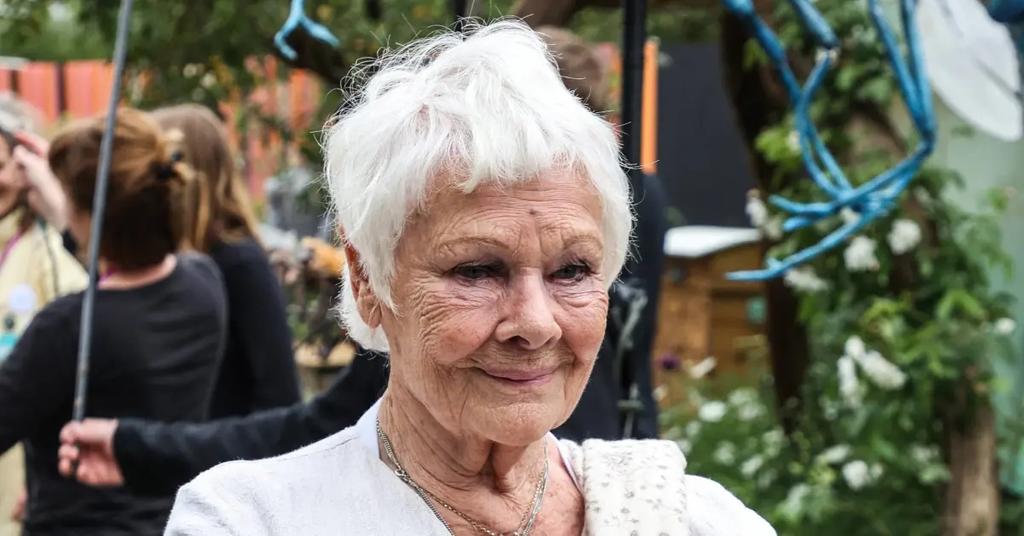 Judi Dench Admits She Can't Go Out Alone Because She 'Can't See'