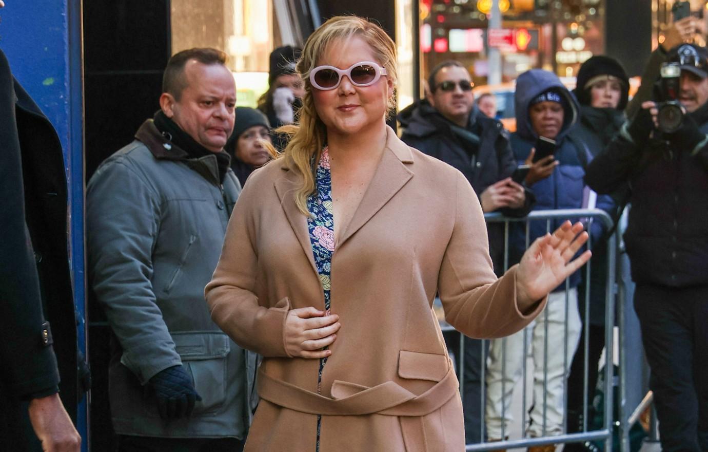 Amy Schumer Hits Back At Fans Mocking Her Puffy Face