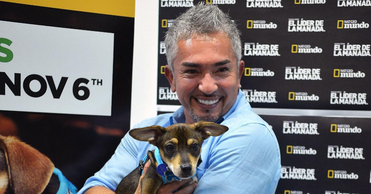 Cesar Millan Reveals Main Pillars To Raising A Well-Behaved Dog