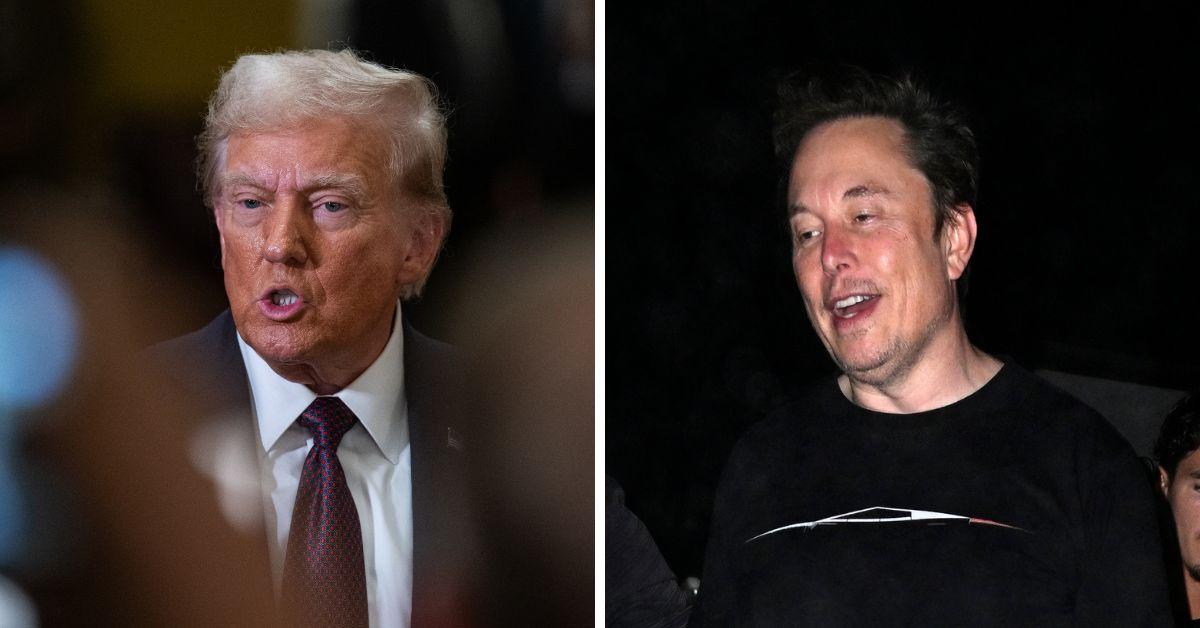 Elon Musk's DOGE Role In Donald Trump's Administration: What To Know