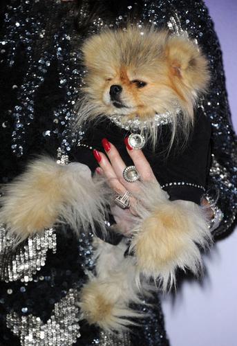 Giggy Vanderpump's Top 10 Best-Dressed Moments