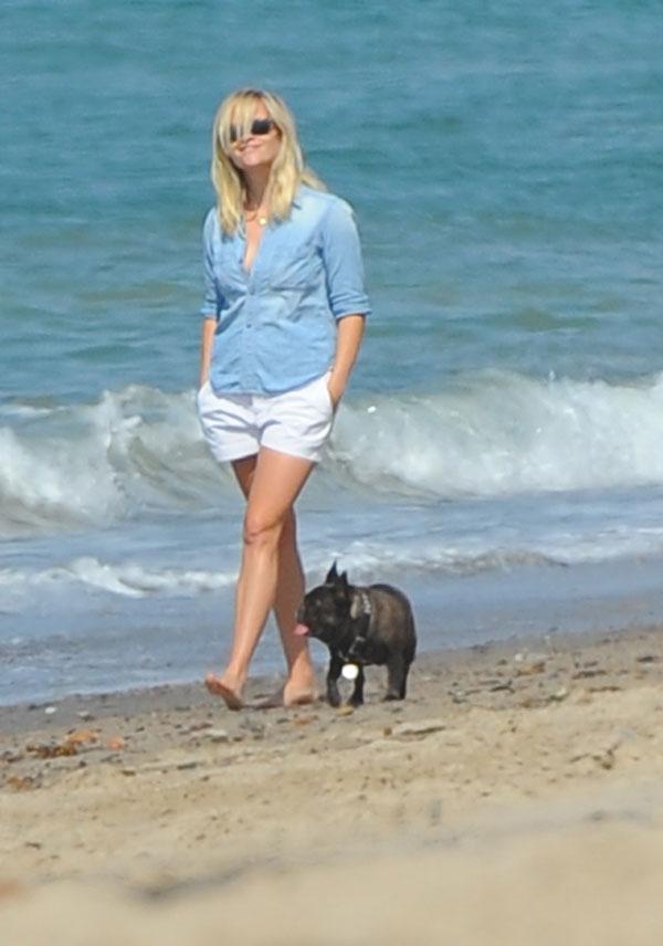 OK! Wake Up Call: Bill Murray on Set, Reese Witherspoon's New Movie ...