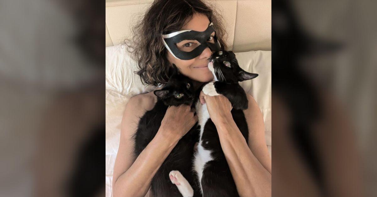 Halle Berry Wears Only Underwear Alongside Her Cats: Photos